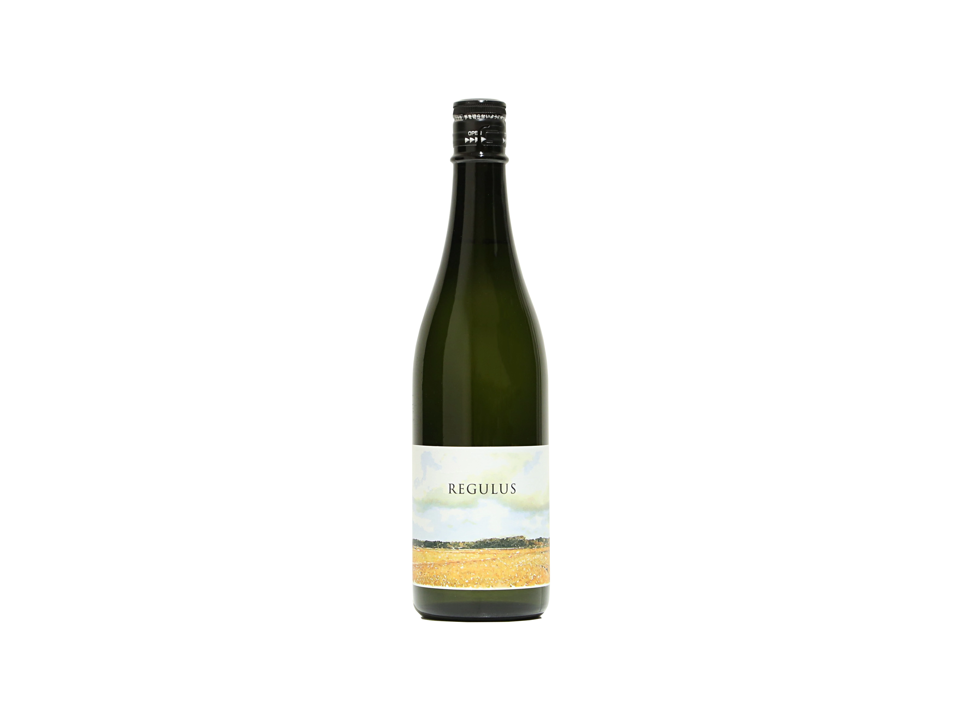 REGULUS（レグルス） vol.2 2024 | IMADEYA ONLINE STORE